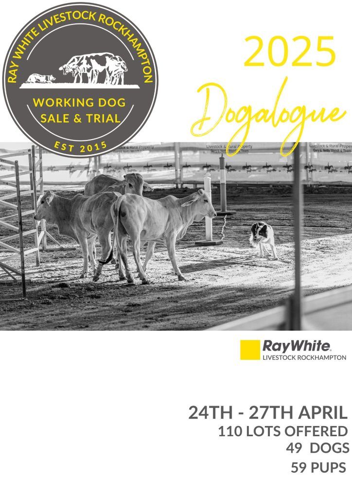 Dogalogue - Dog Sale And Trial - Ray White Rural Gracemere