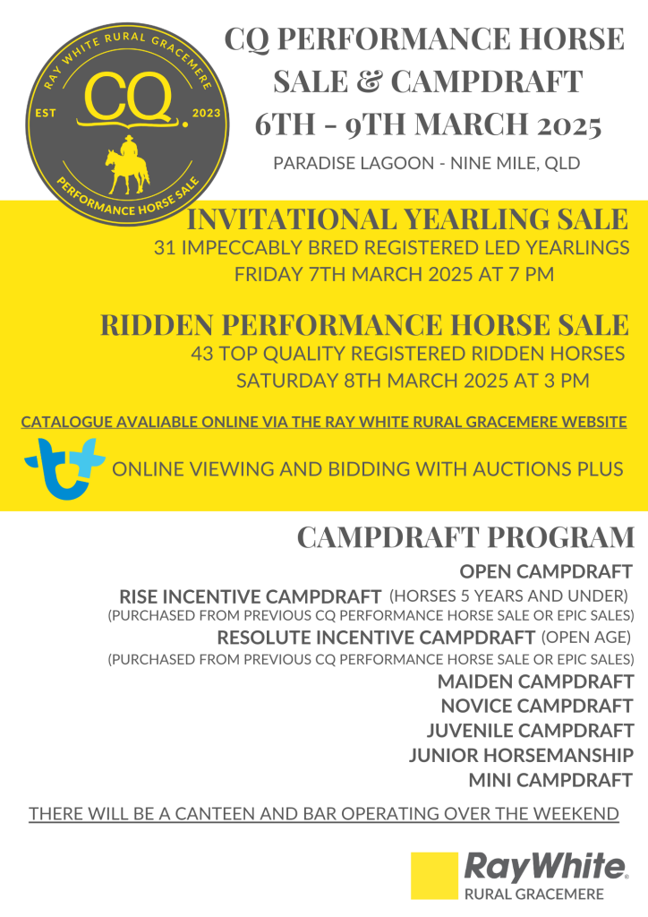 CQ Performance Horse - CQ Performance Horse - Ray White Rural Gracemere